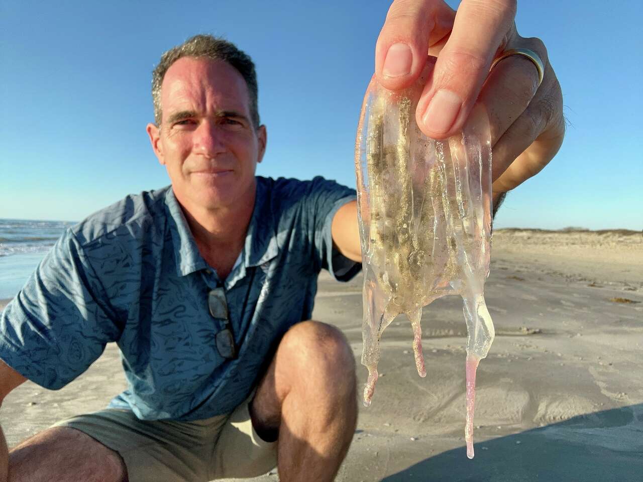 Strange, stinging creature is washing up on Texas beaches