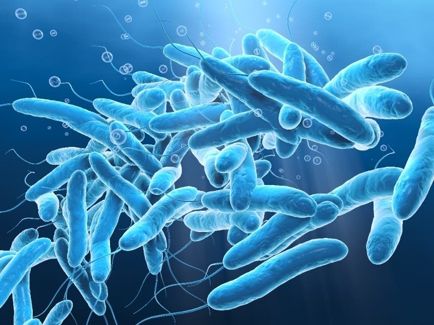 Legionella contamination found at UES building