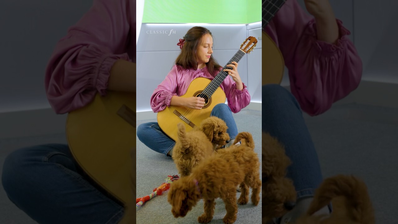 A concert for four very good pups!