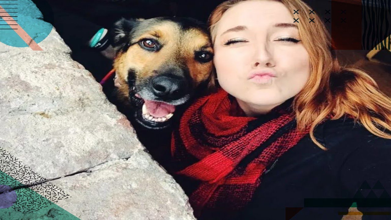 Grandpa hilariously updates his daughter while babysitting her dog