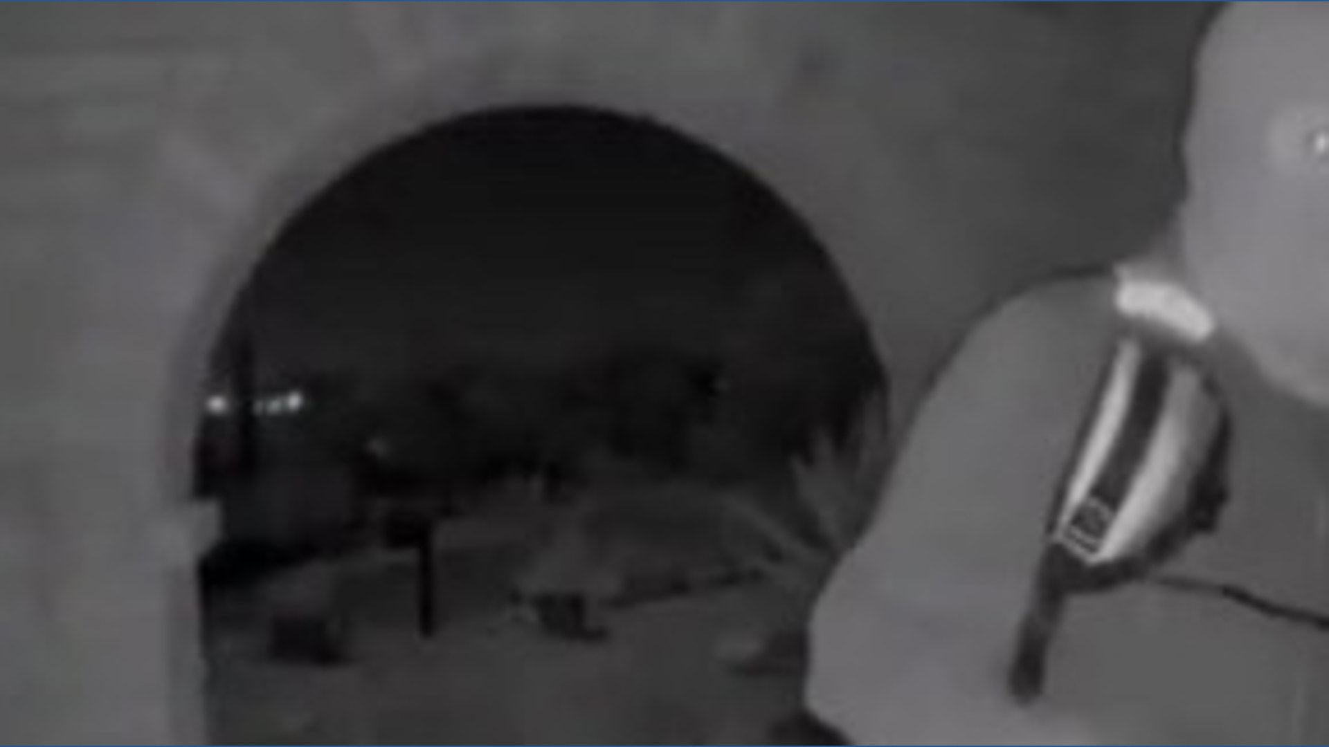 Security camera video shows possible suspect in Nancy Guthrie case