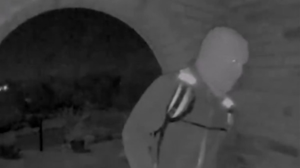 Videos show masked man on doorstep of US TV anchor's kidnapped mother