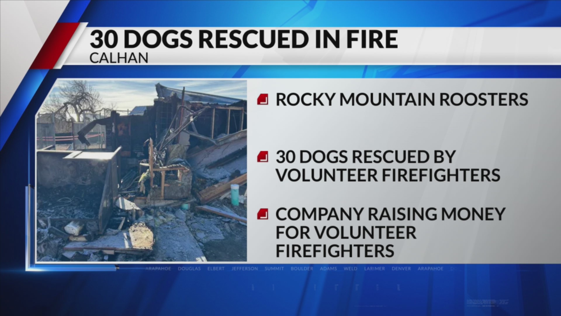 30 dogs rescued from fire at bird hunting organization building