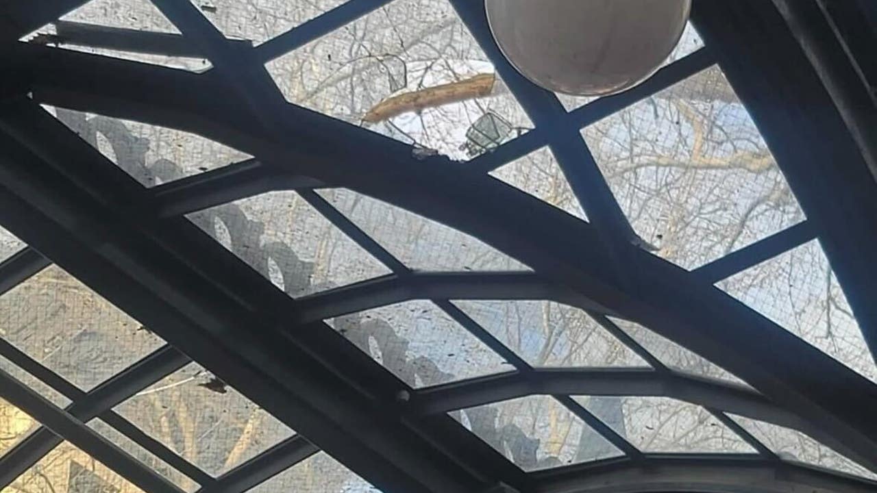 Crowds climb, damage Seattle's historic pergola after Seahawks Super ...