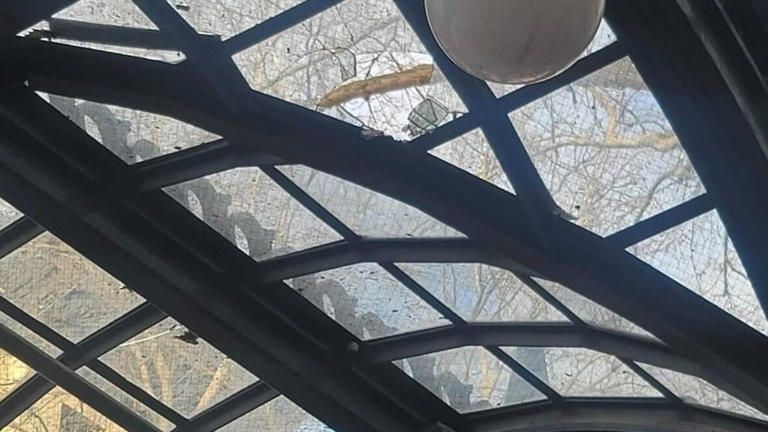 Crowds climb, damage Seattle's historic pergola after Seahawks Super ...