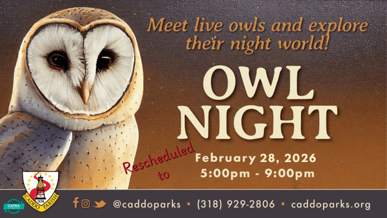 Caddo Parish’s Owl Night features live owls and nature fun