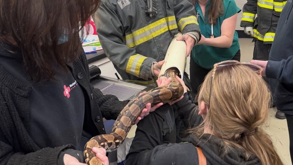Snake stuck in a PVC pipe? Boise fire to the rescue