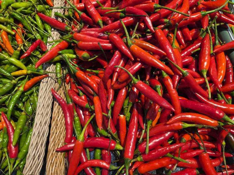 Do aphrodisiacs really work? Here's what experts say