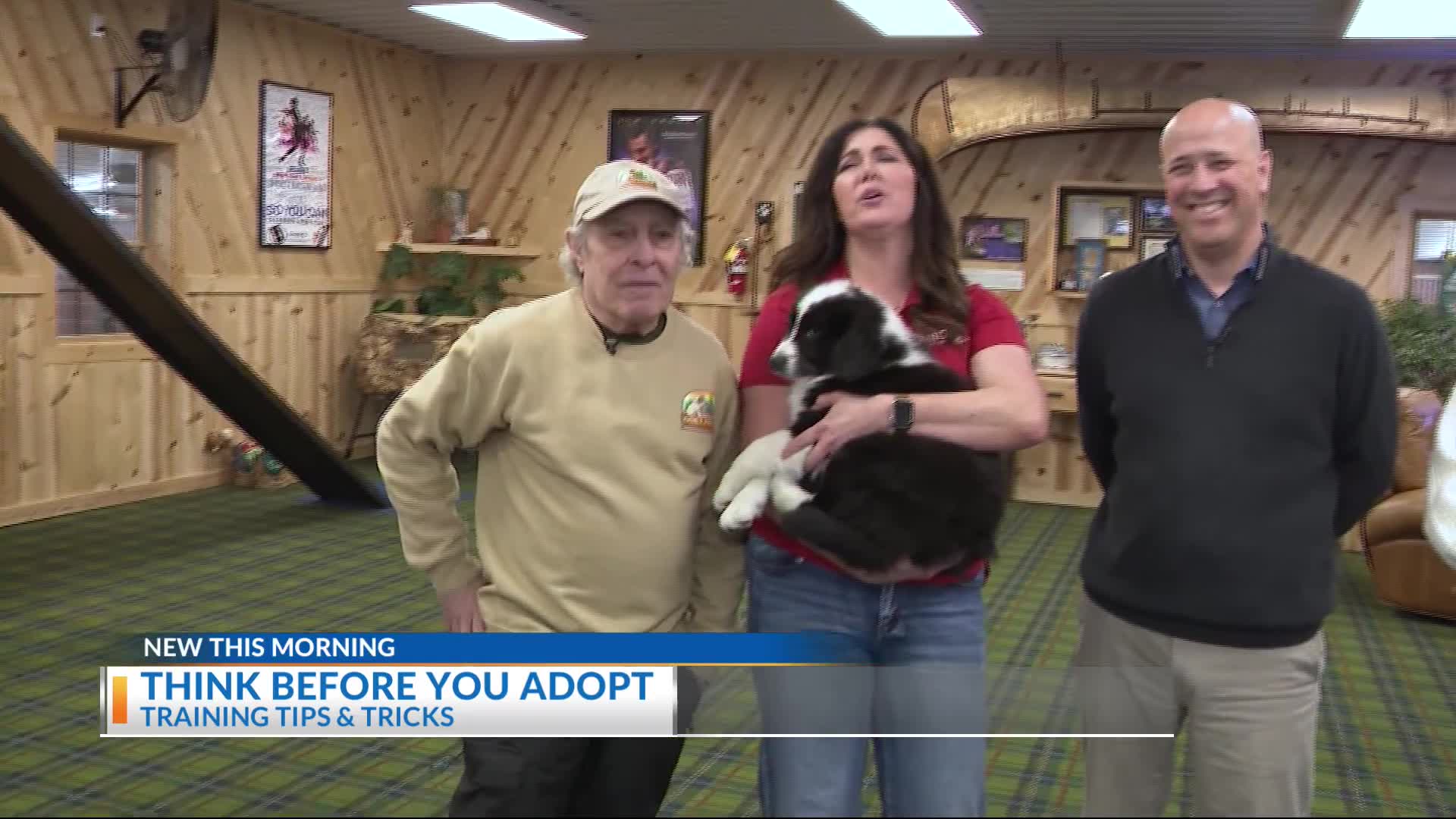 Training tips and tricks: Think before you adopt