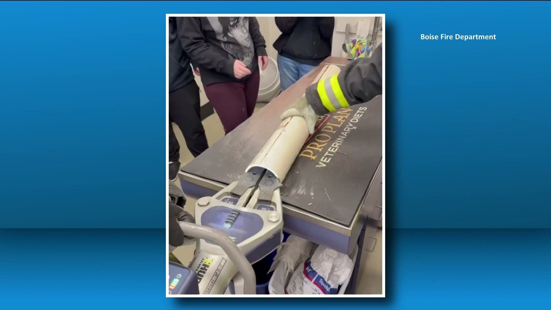 Boise Fire Department rescues boa constrictor from PVC pipe