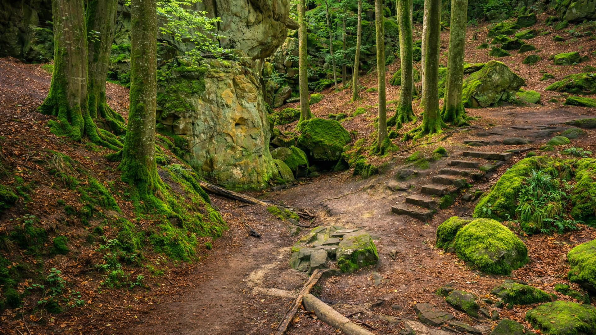 Teufelsschlucht Germany nature walk in Devil’s Gorge (4K)