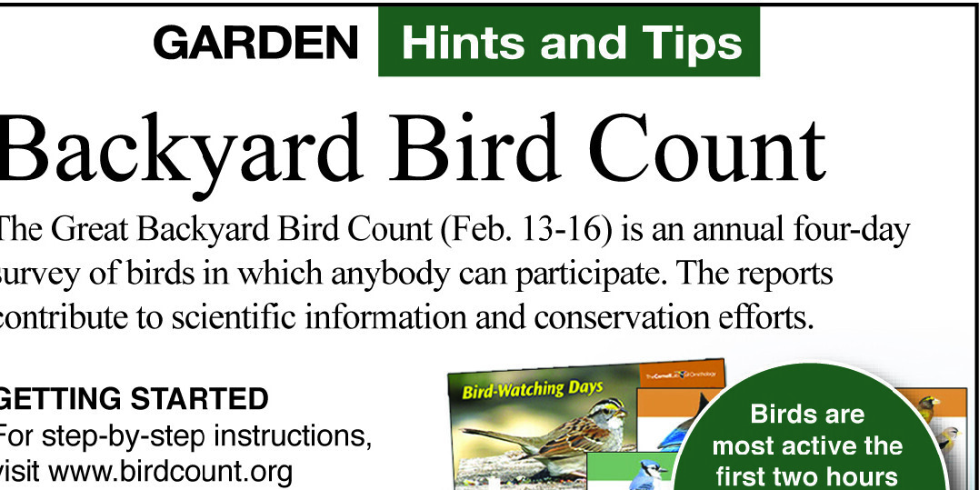 Great Backyard Bird Count