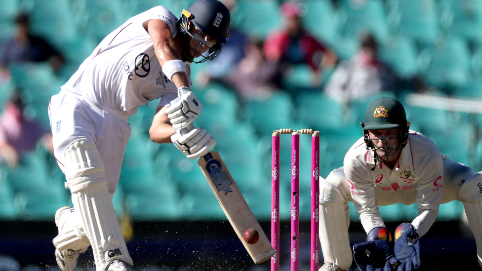 It's just not cricket: Is willow on the way out?