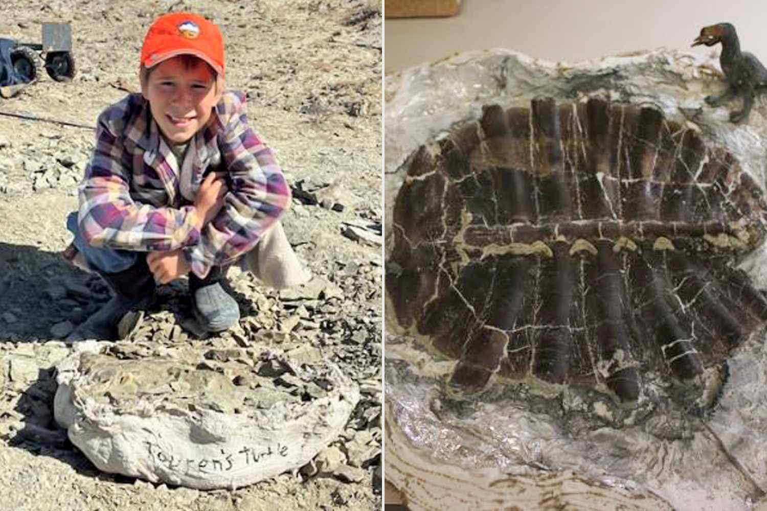 11-year-old discovers 48-million-year-old fossil while searching for ...