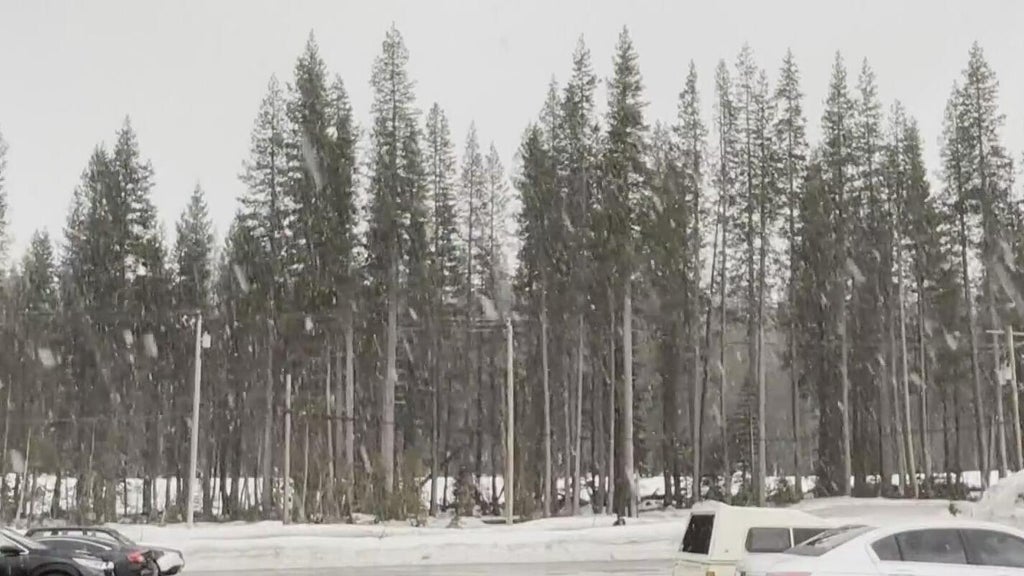 Winter storm brings much needed snow to Sierra