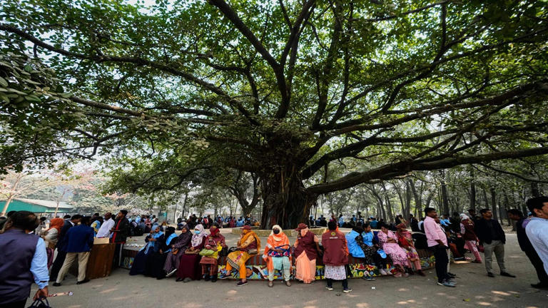 Bangladesh Elections 2026: What’s the voting schedule and how it works