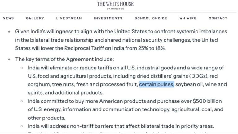 White House quietly revises India-US trade deal factsheet: Pulses and ...