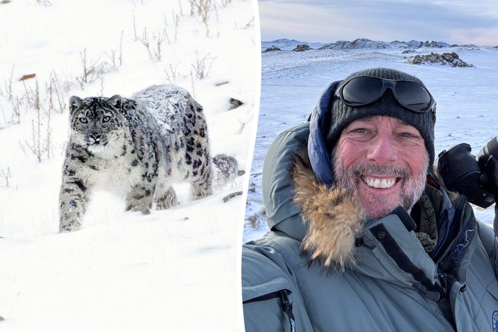 Rare snow leopard caught on camera