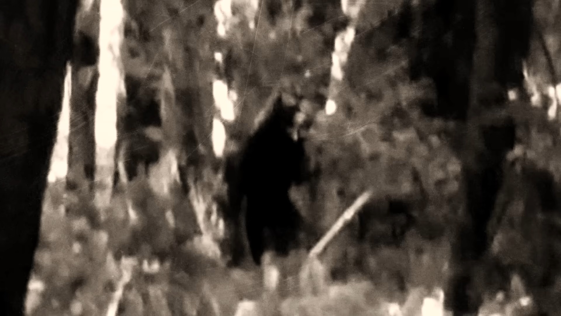 Dogman was only in Native American stories - then photos appeared