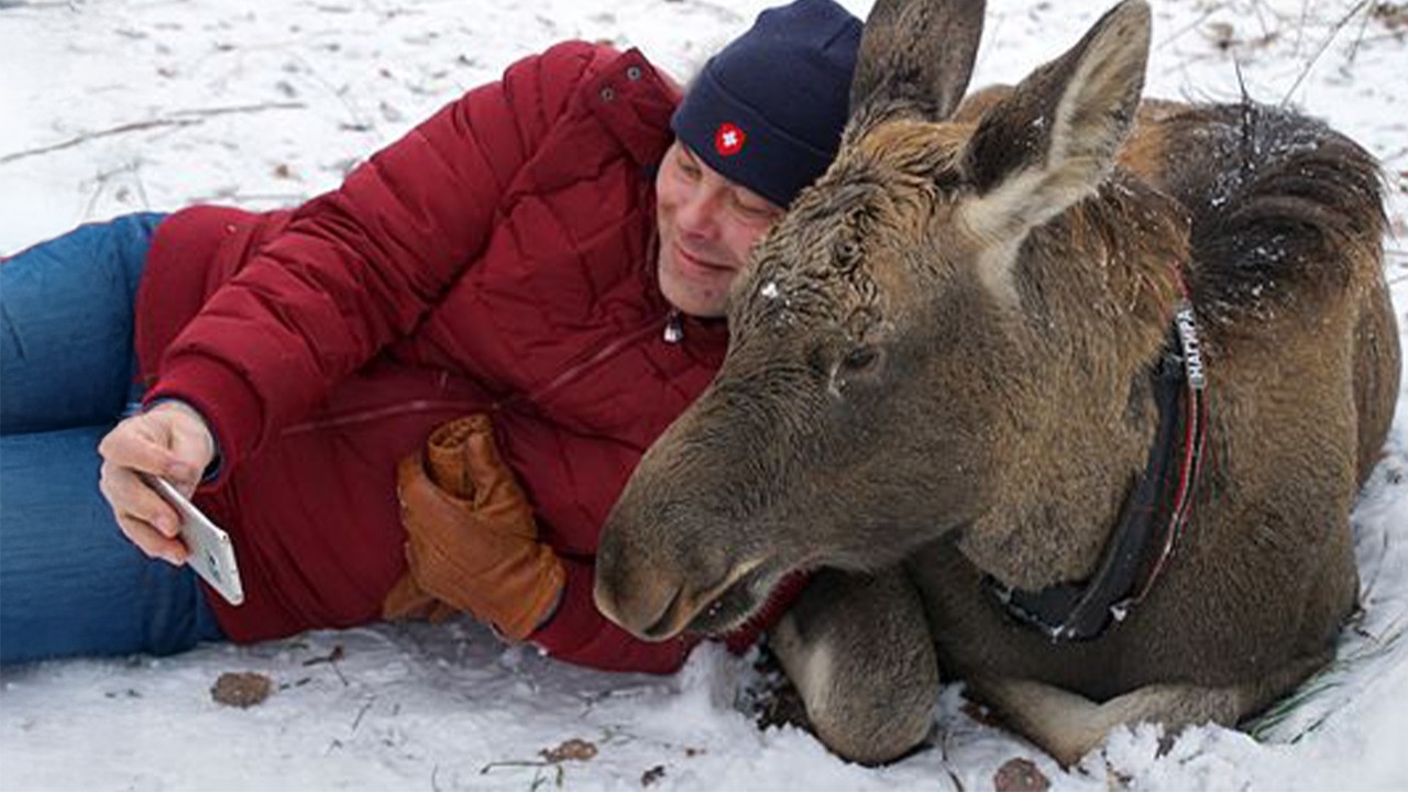 Animals teach us love makes life truly worth living