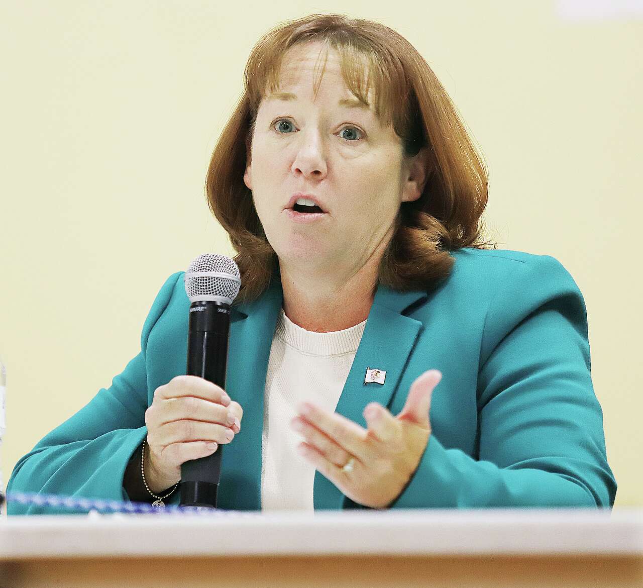 Amy Elik outraises Rosie Brown by more than 2-to-1 in Illinois House ...