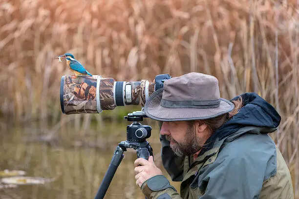 Why observing nature improves mental health