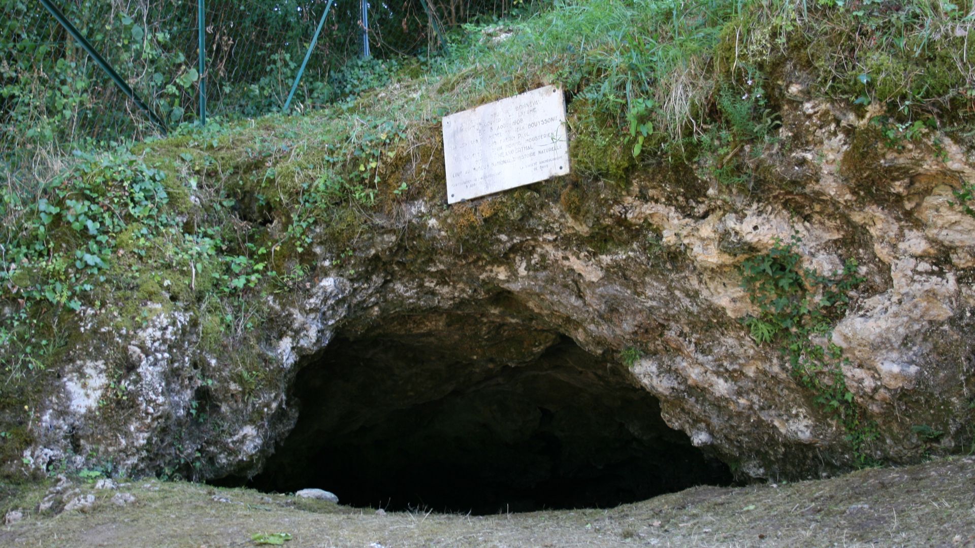 We thought we understood the Neanderthals, but genetic studies have ...