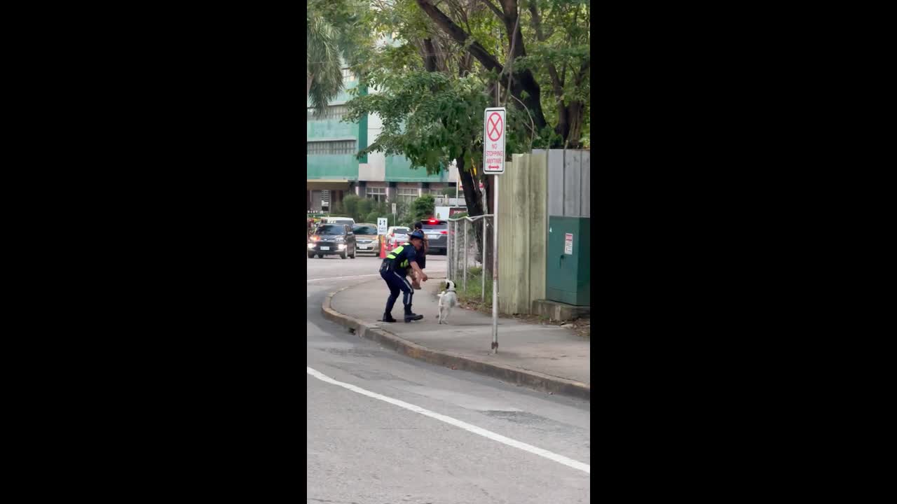 Security guard has wholesome interaction playing with stray dog