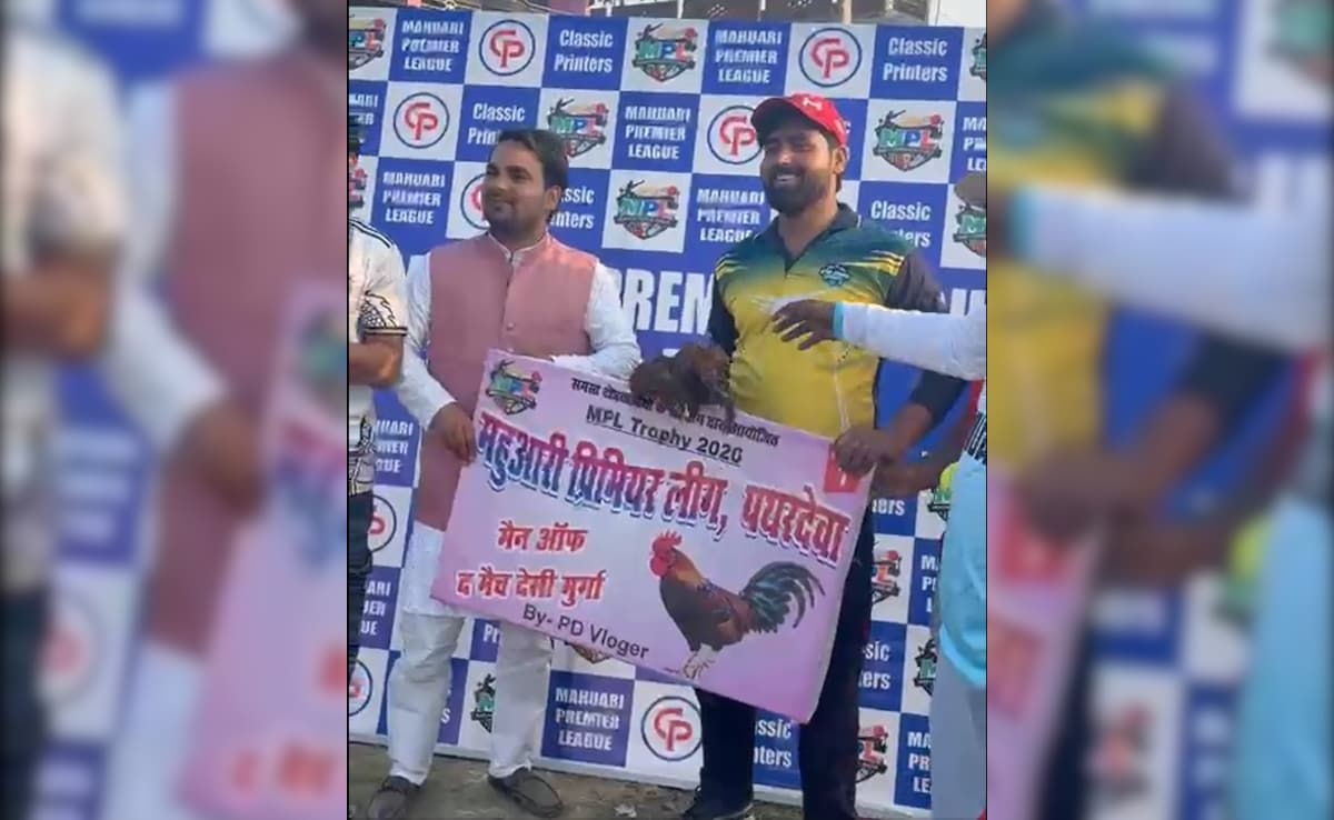 No cash, no trophy, rooster as reward for winners at UP cricket tournament
