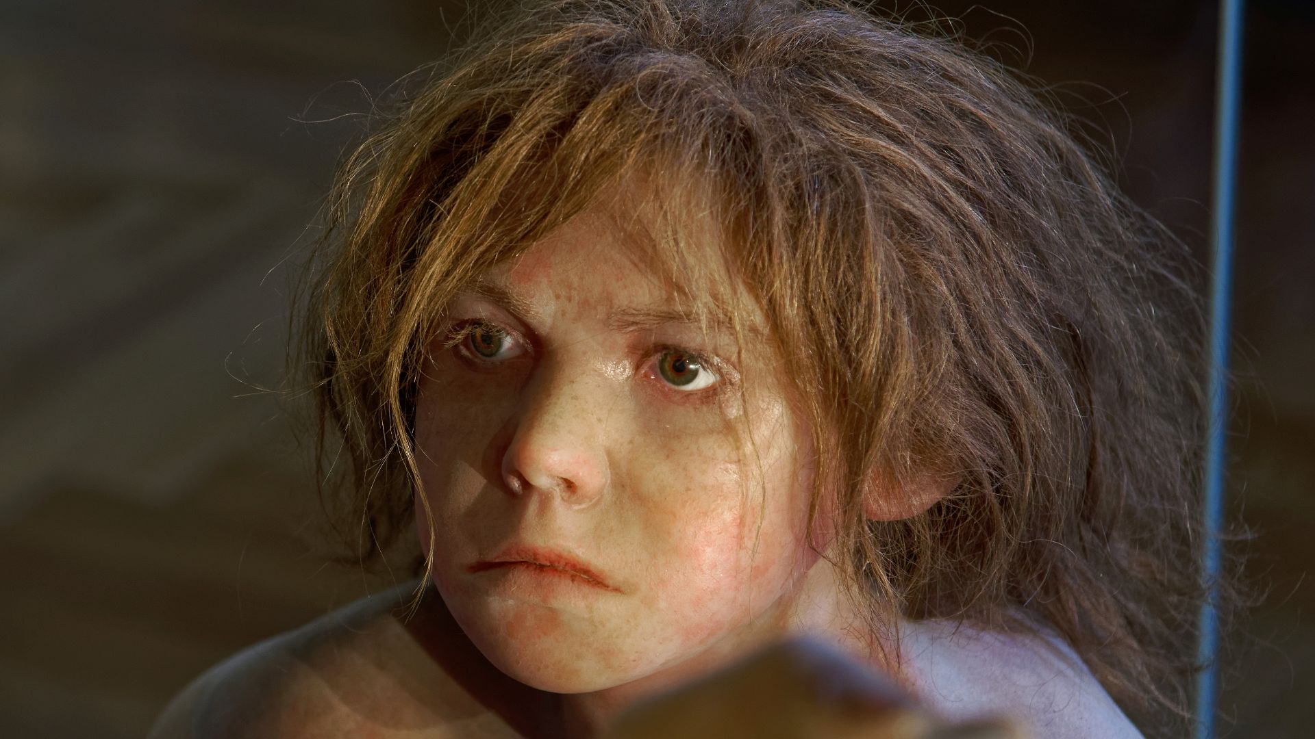 We thought we understood the Neanderthals, but genetic studies have ...