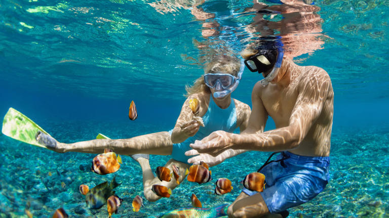 The 5 best Caribbean destinations worth visiting in 2026, according to ...