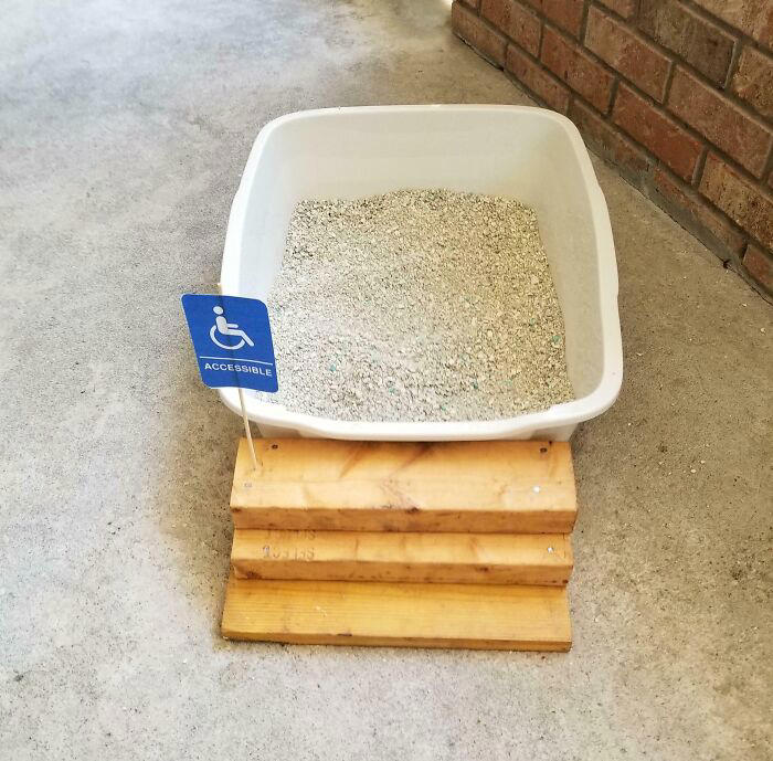 56 times parents brought joy to their children’s lives and deserved to ...