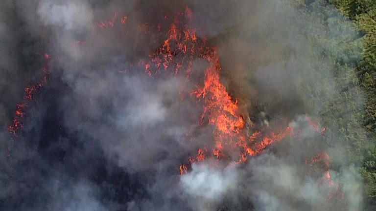 Tampa Bay area under high fire alert as 2 Pasco schools cancel ...