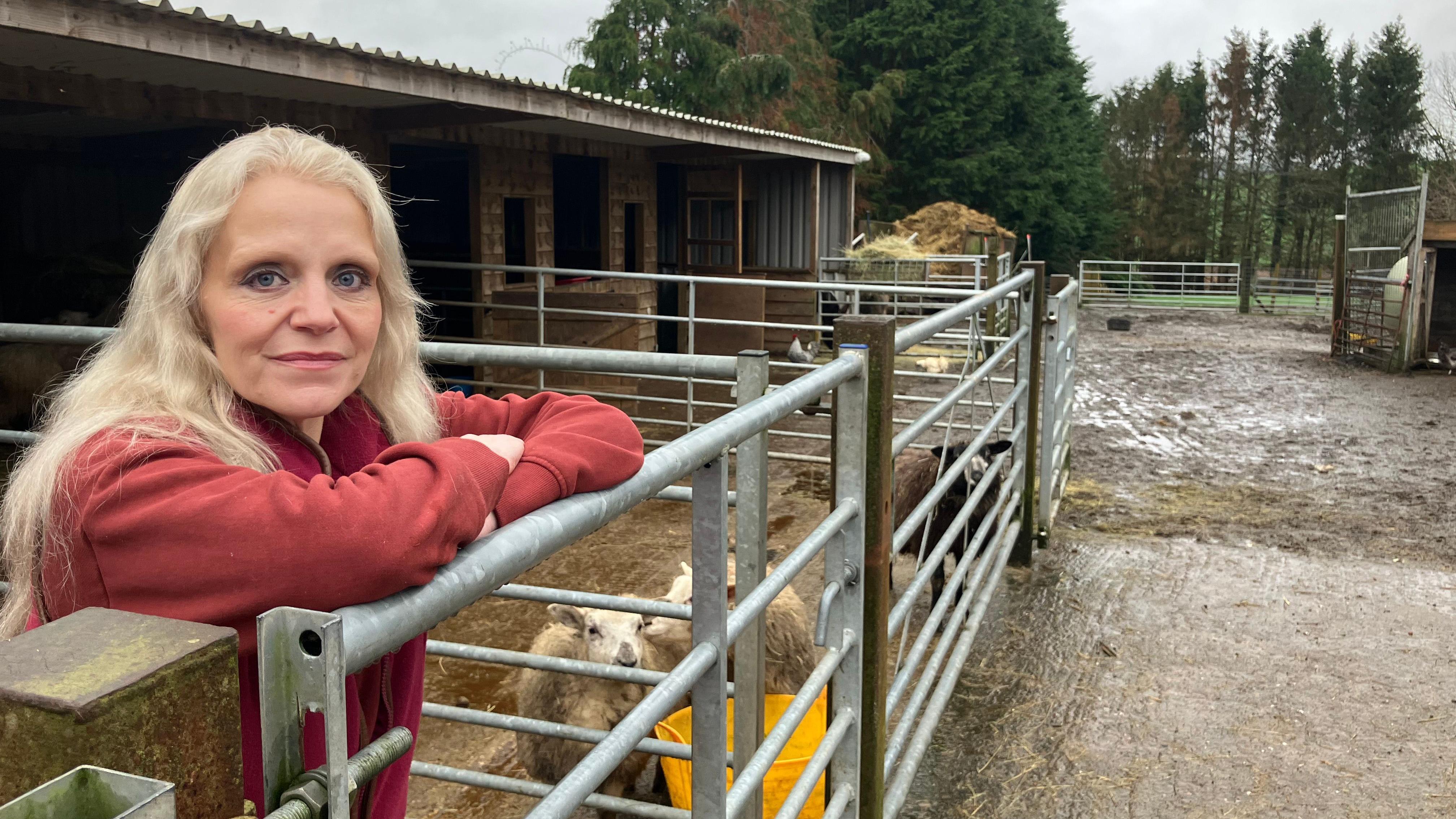 Storm-hit rescue sees thousands raised by public