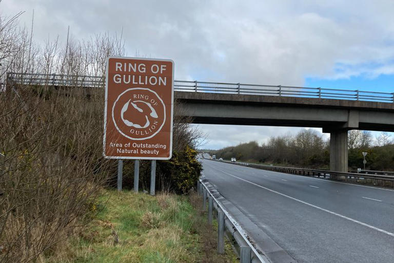 Newry A1 bypass to close for pick up of 'shocking' litter problem by ...