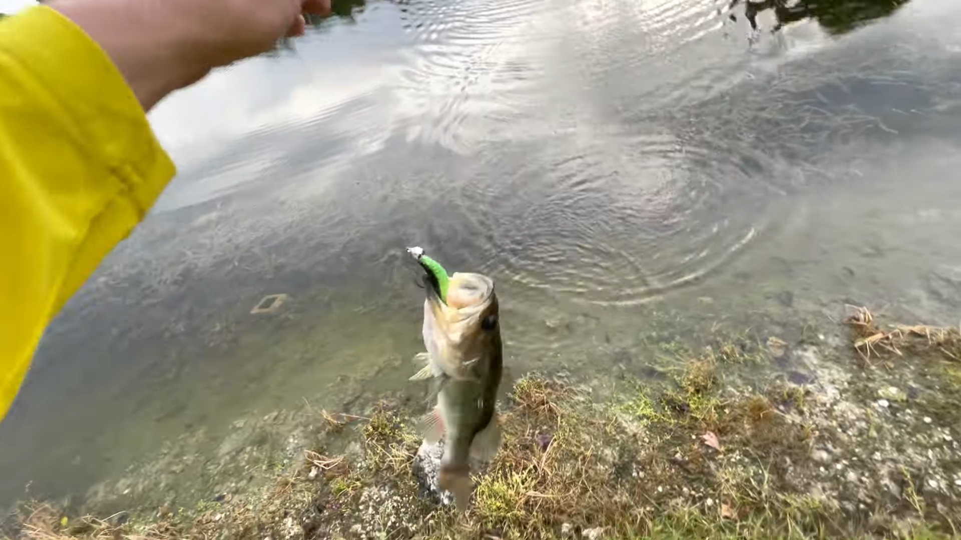 That fish almost took the rod out of my hands