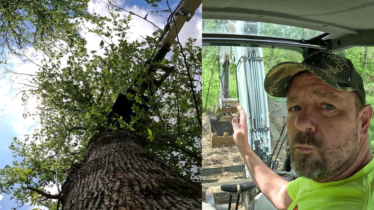 Excavator clears 50-foot trees for shop build