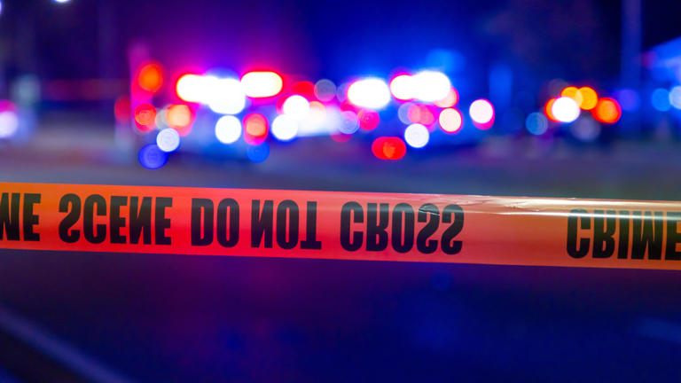 Minnesota BCA investigating after St. Louis County deputies shoot man ...