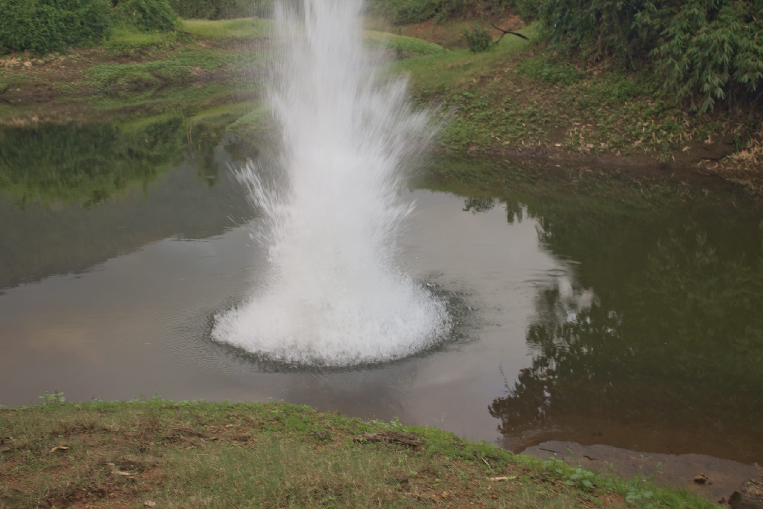 Deadly fishing method that destroys the environment