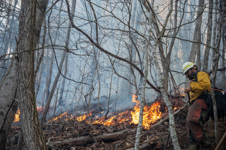 Photos: Crews combat 256-acre wildfire near Appalachian Trail in ...
