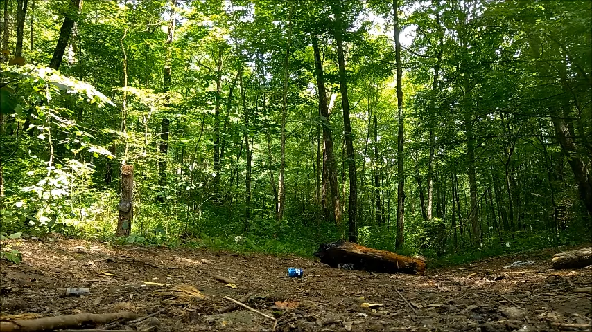 They placed 5 pounds of Tannerite under a 500-pound log - then stepped back