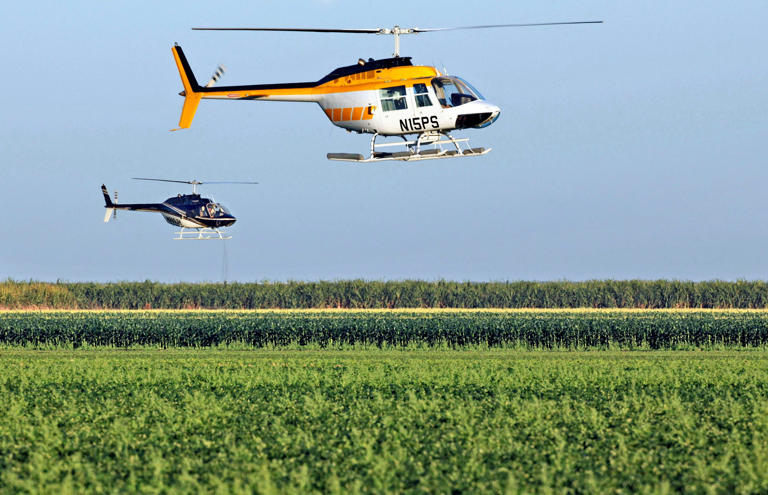 $500,000 for 12 helicopters: Florida farmers go to extremes to melt frost