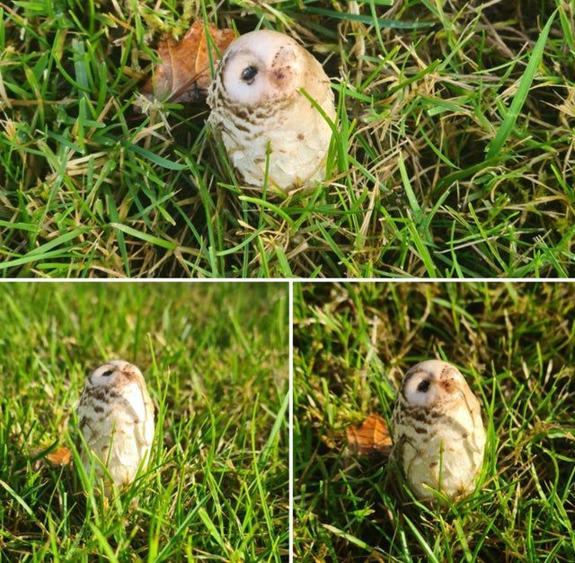 Look again: Photos that trick your eyes
