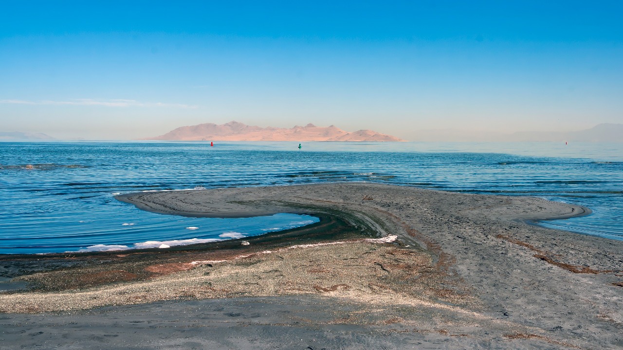 Rare deep-lake creature found in Great Salt Lake has never been seen in ...