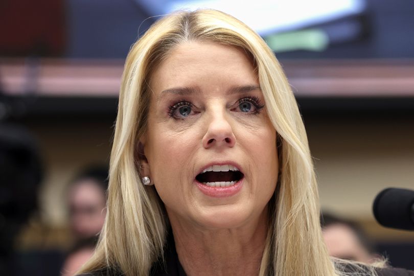 Furious Democrat yells 'Kristi Noem executed her dog!' in wild Pam ...