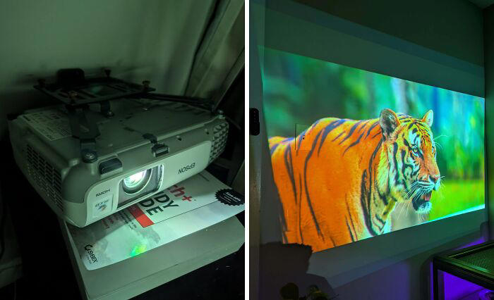 51 amazing dumpster diving finds that prove it’s not all trash
