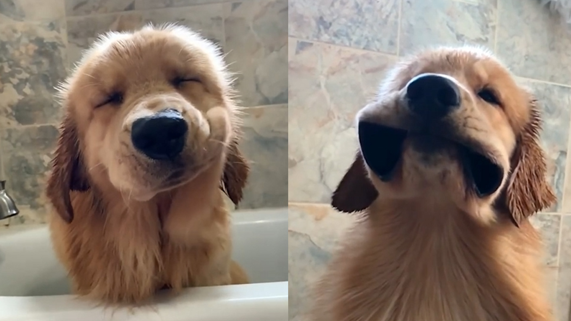 When the blow dryer hits different