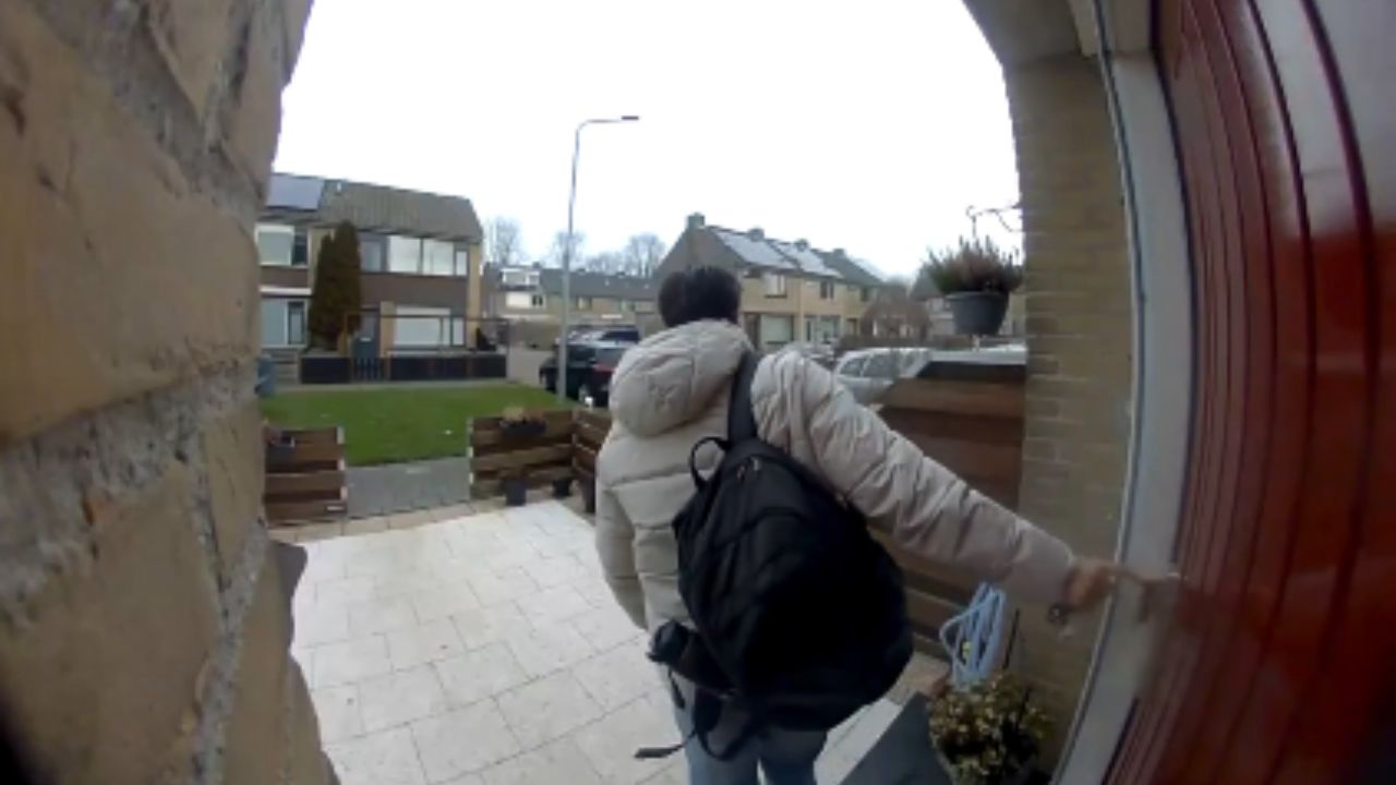 Boy walks out of garden and gets scared by a random swan