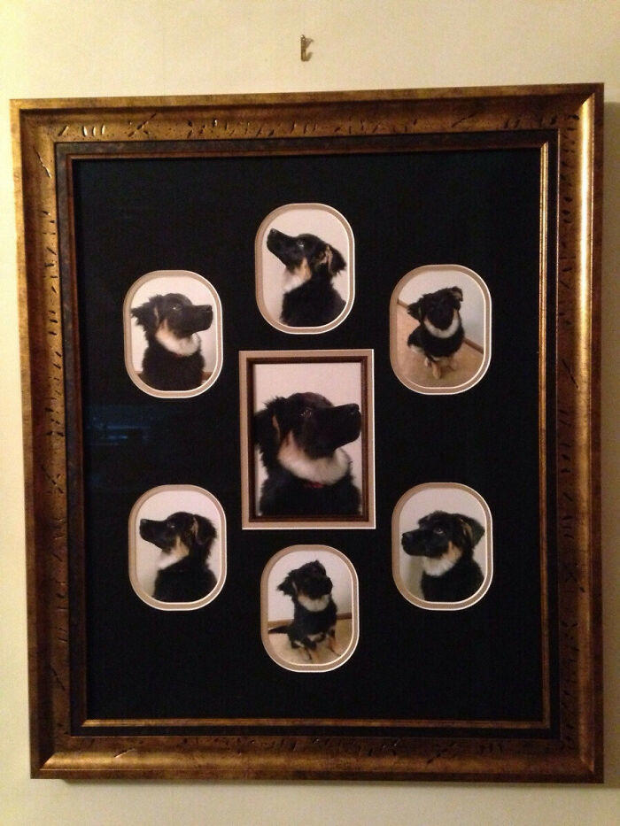 56 times parents brought joy to their children’s lives and deserved to ...