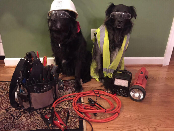 56 times parents brought joy to their children’s lives and deserved to ...